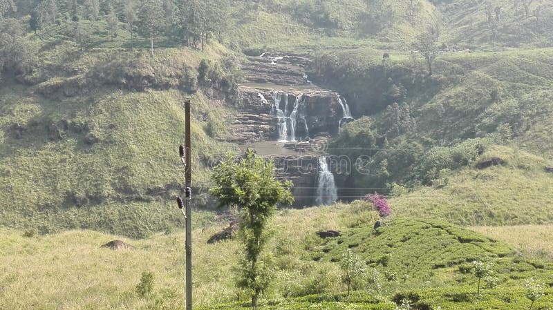 My brother son stock photo. Image of brother, sudu, putha - 121623632