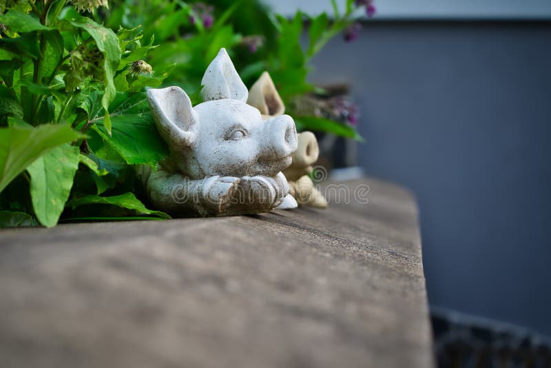 My Ceramic White Garden Pig Stock Photo - Image of cute, garden: 154359526