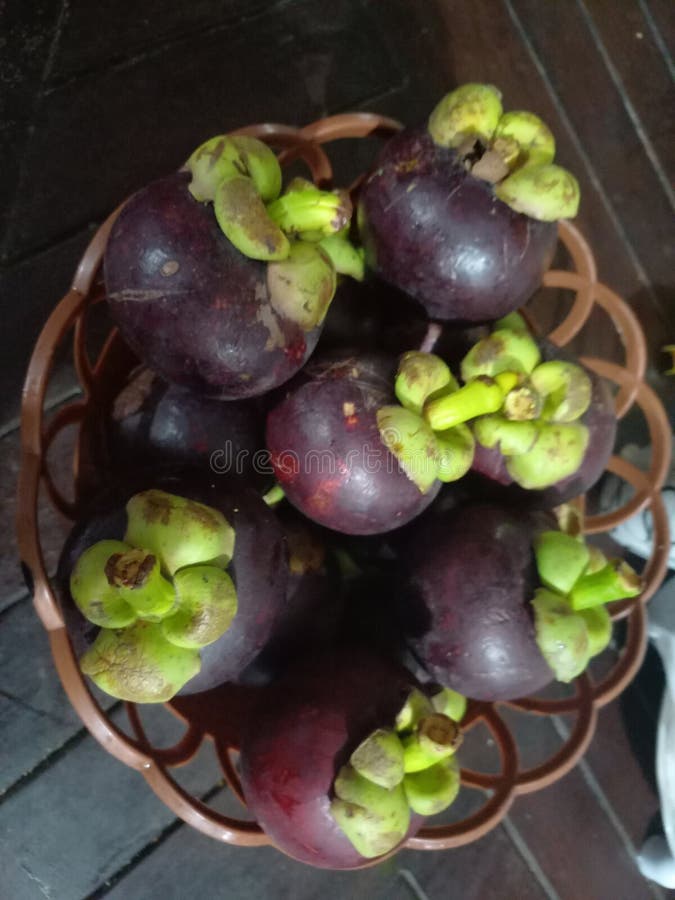 My favorite fruit stock image. Image of favorite, meal - 265708257