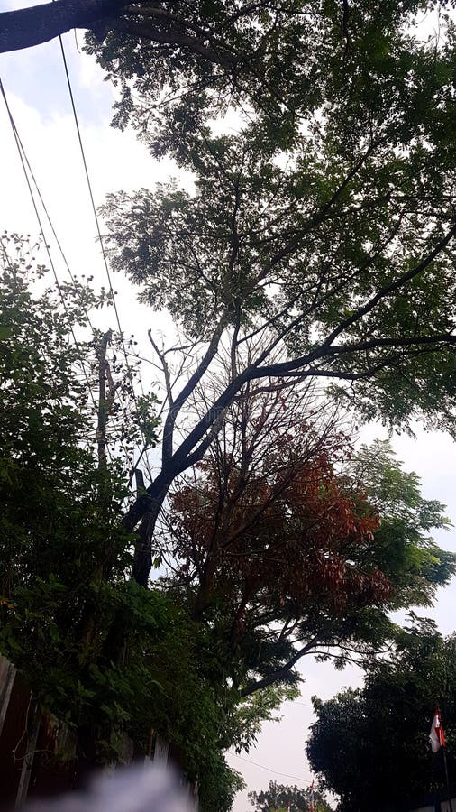 This is My First Photo Try,, Just a Normal Photo I Just Tried it Stock ...