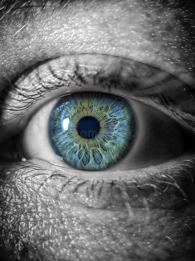 My friend& x27;s eye stock photo. Image of eyelash - 253732744