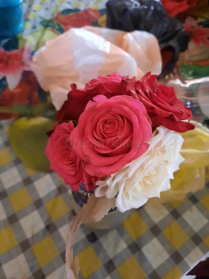 My Garden Rose Big Size Flowers Stock Image - Image of rose, bouquet ...