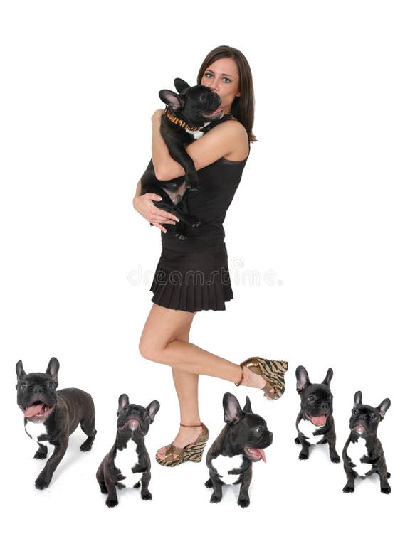 My Happy Dog stock image. Image of smile, ears, care, happy - 2060349