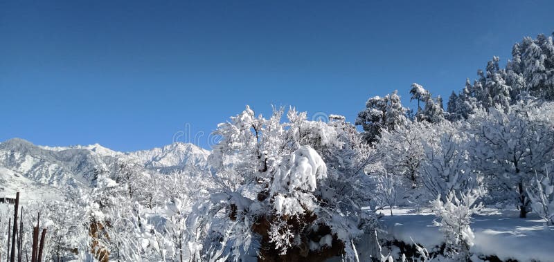 My Home Front Snow Fall in 2020 Stock Photo - Image of front, snow ...