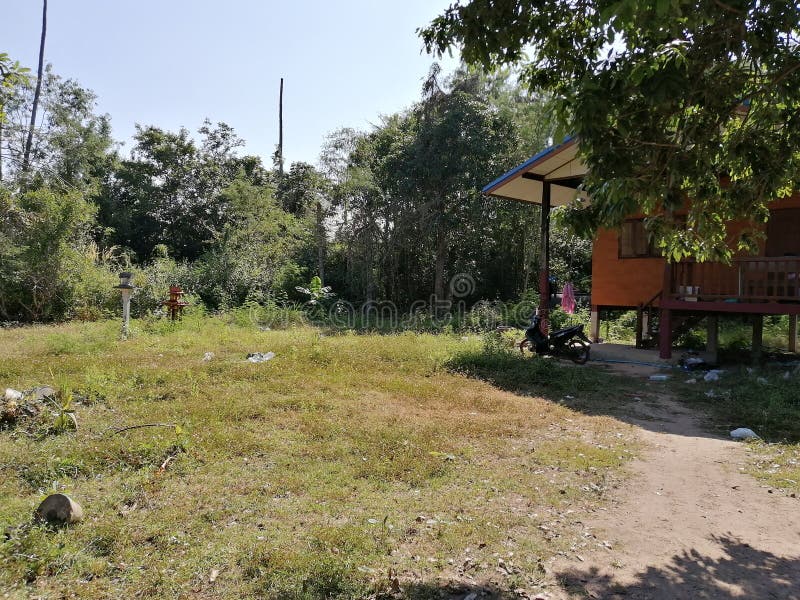 My home nuter stock photo. Image of backyard, farm, home - 191652918