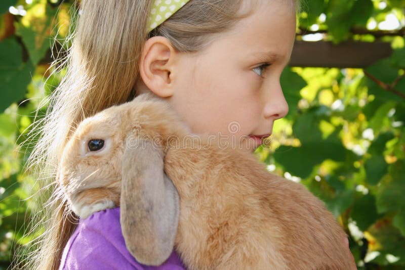 My little rabbit stock image. Image of friends, rabbit - 25276467