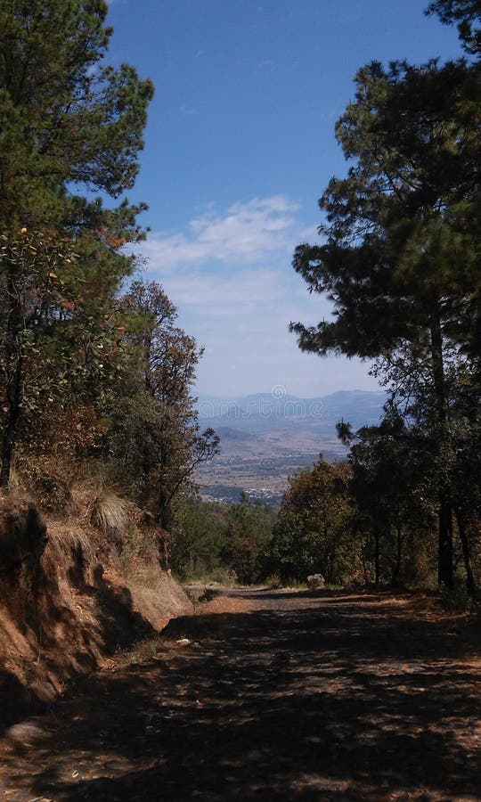 My little ranch stock image. Image of little, ranch - 113767281