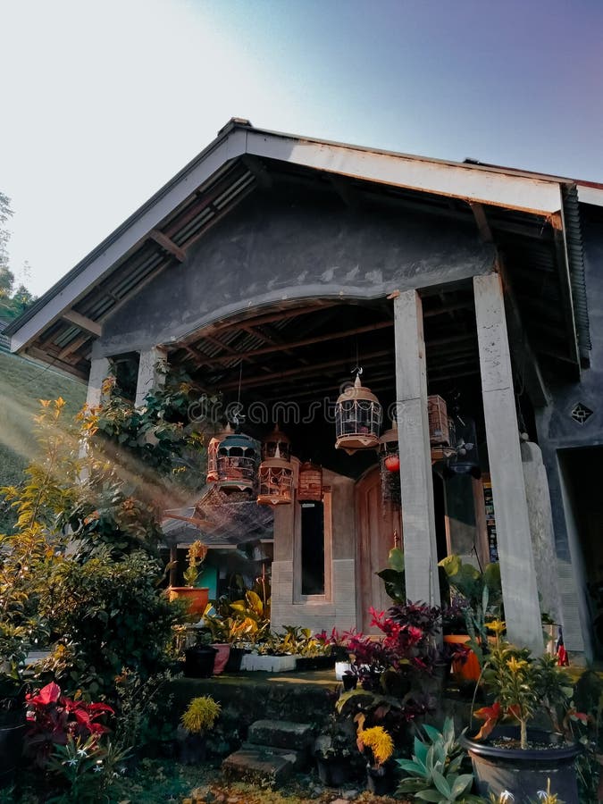 My little sweet home stock image. Image of sweet, nature - 221961133