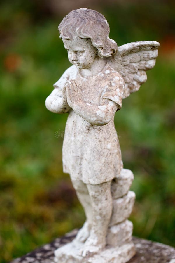 Christmas tree farm stock image. Image of holiday, trees - 1013737