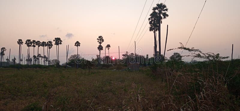 My Native Village View with Sunrise Stock Image - Image of field ...