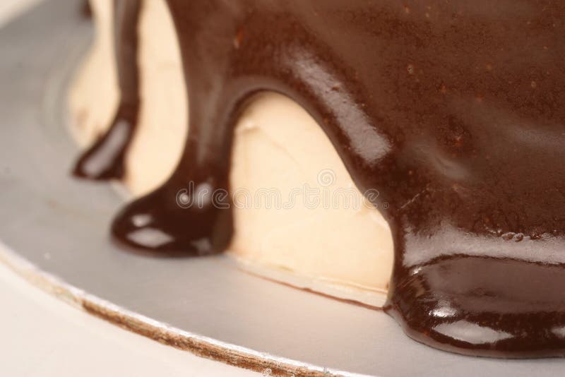 My next dessert stock photo. Image of sweet, snack, special - 3197134