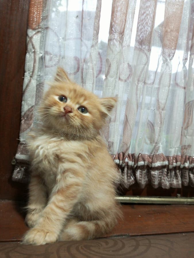 Oneth Stock Photos - Free & Royalty-Free Stock Photos from Dreamstime