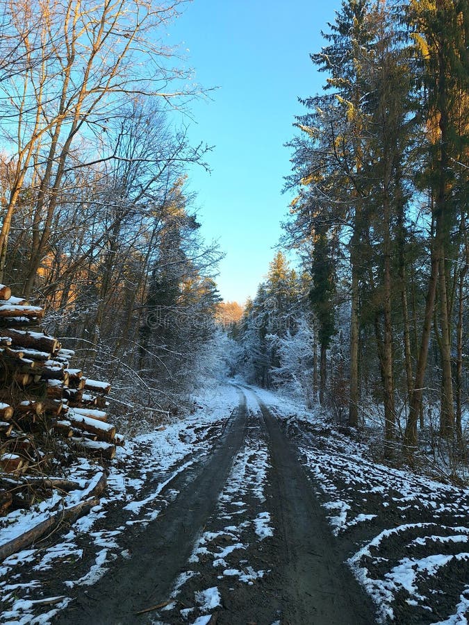 My Path is Made of Snow and Mud Stock Photo - Image of winter, woods ...