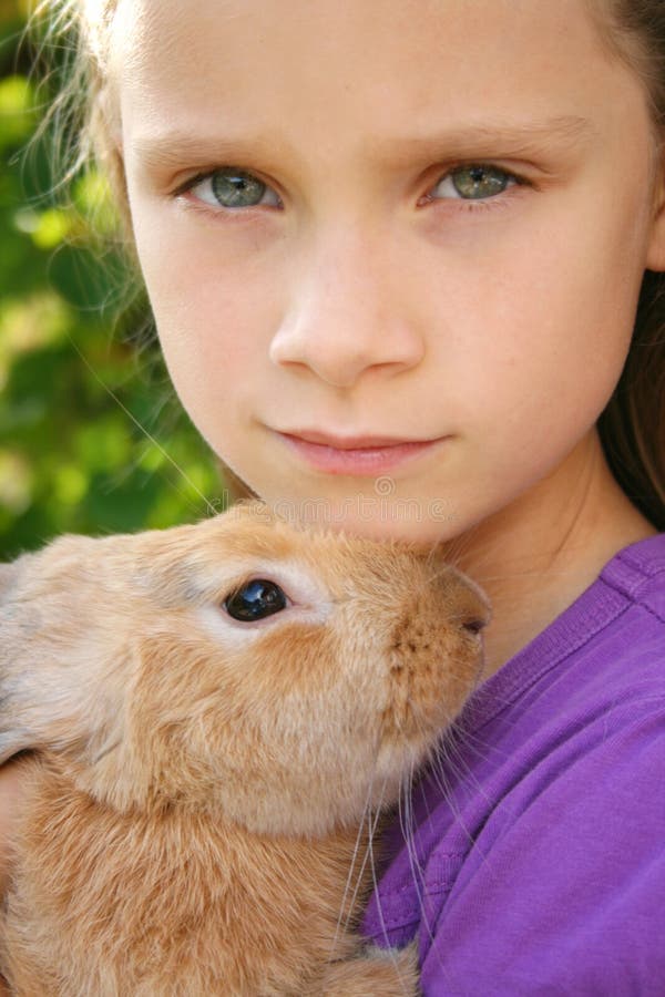 My Rabbit stock photo. Image of animal, look, long, blue - 25276750
