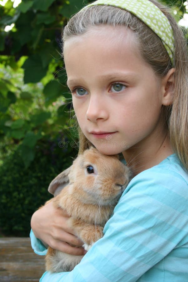 My Rabbit stock photo. Image of animal, look, long, blue - 25276750