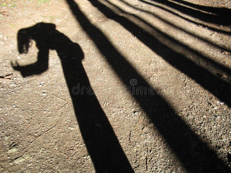 My shadow stock photo. Image of trees, shadow, people, legs - 435854