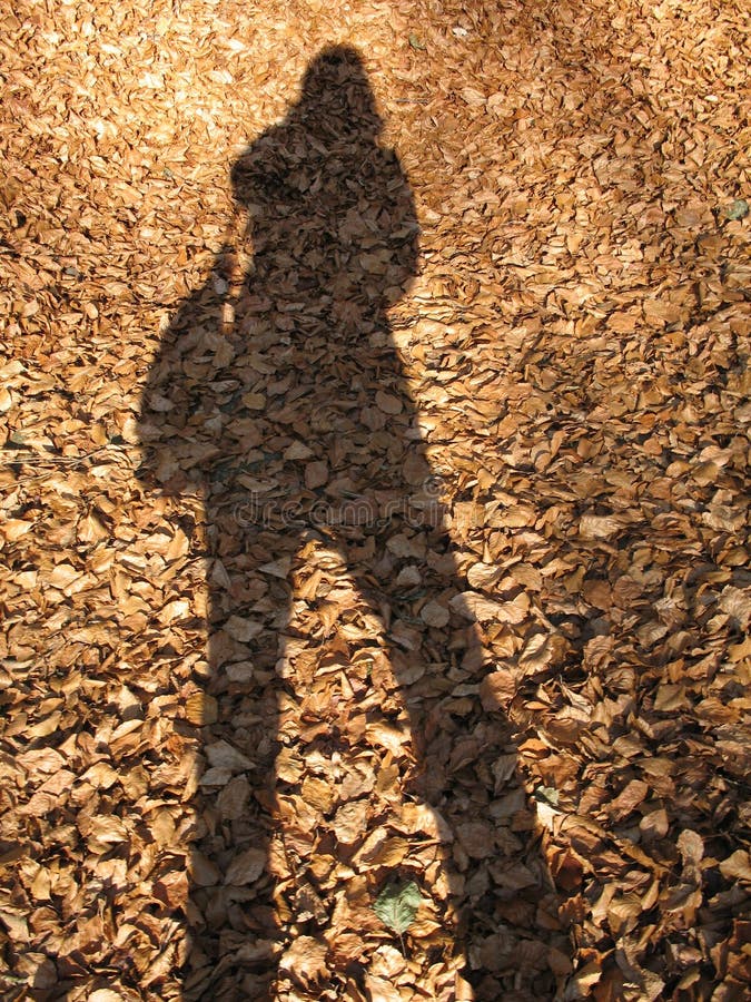 My shadow stock image. Image of shadow, long, forest, alone - 7204749