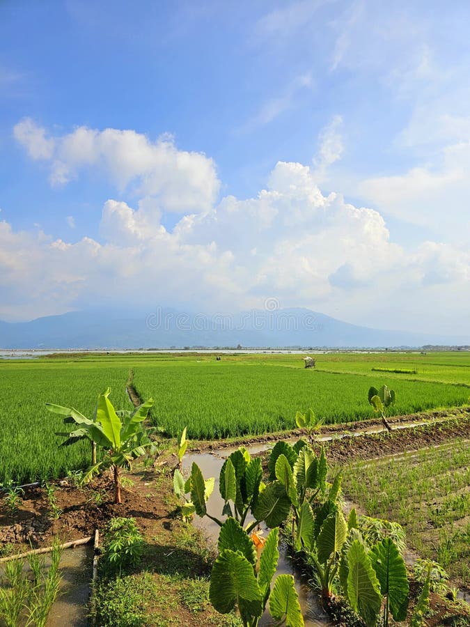 Mside Stock Photos - Free & Royalty-Free Stock Photos from Dreamstime