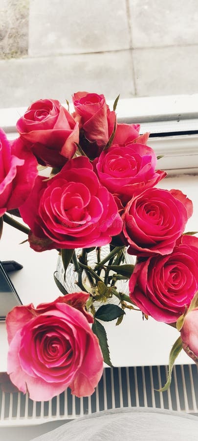 My special flowers stock image. Image of plant, special - 234953889