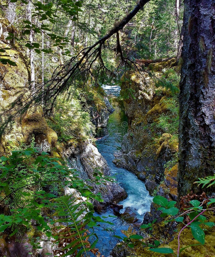 My Spot stock image. Image of outdoors, canada, canadian - 96885953
