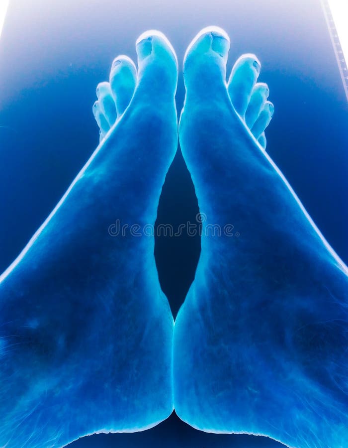 My two feet stock image. Image of feet, reef, ocean - 230060711