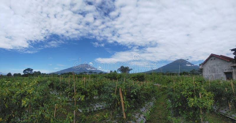 My Village is Ngadirejo Temanggung, Central Java Stock Image - Image of ...
