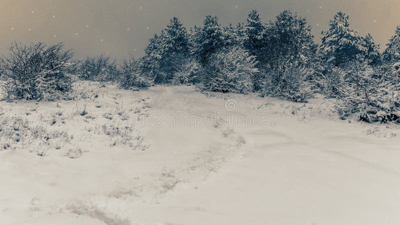 My winter feeling stock photo. Image of seasonal, nature - 110502664