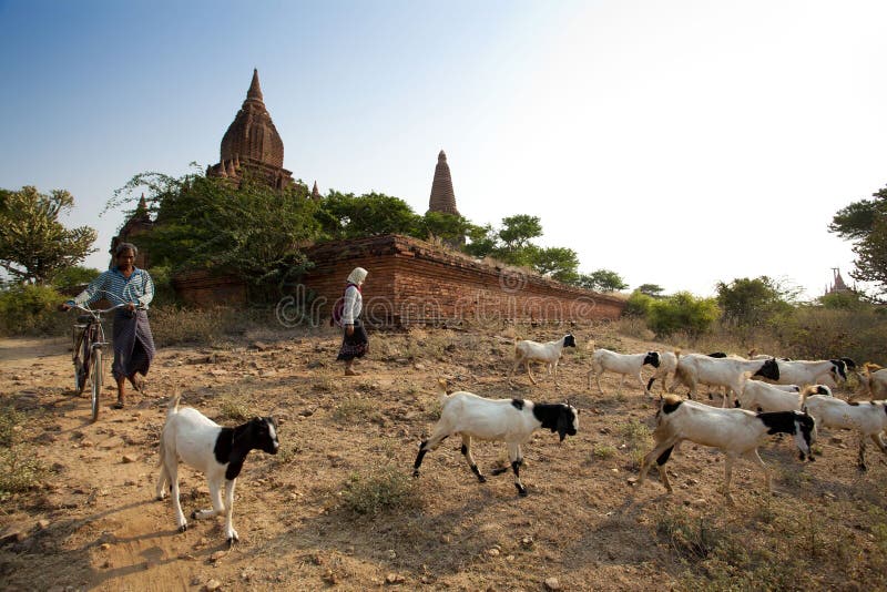Myanmar - Bagan editorial stock image. Image of ancient - 85893564