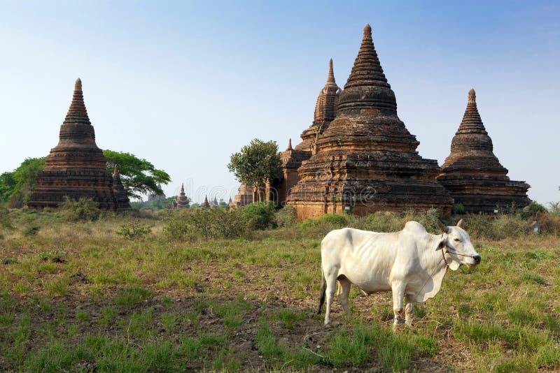 Myanmar - Bagan editorial stock photo. Image of myanmar - 85893643