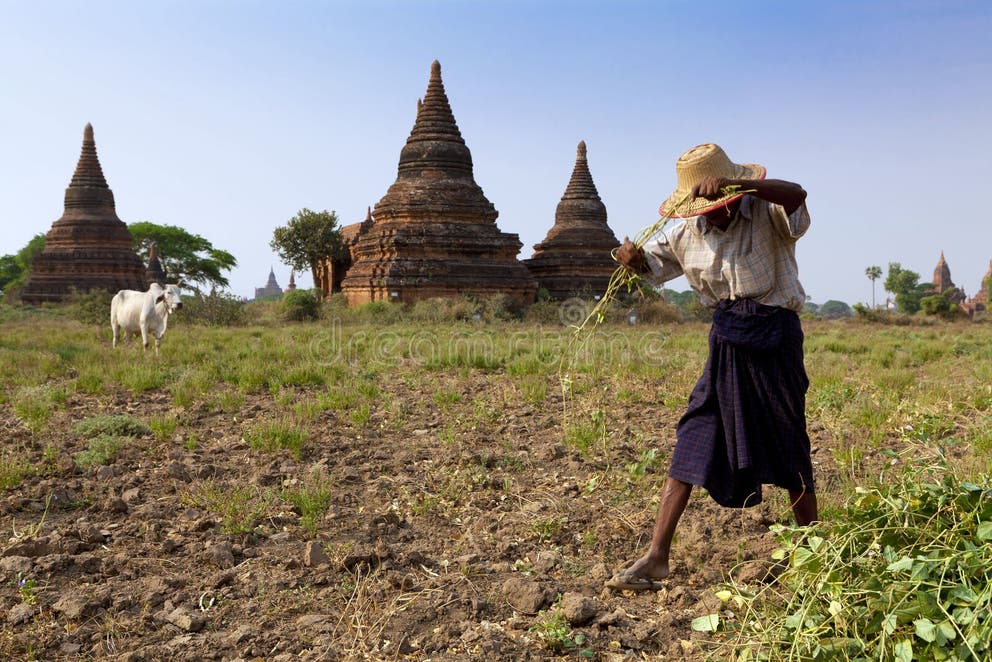 Myanmar - Bagan editorial photography. Image of transport - 85893797