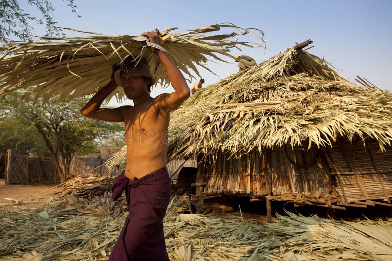 Myanmar - Bagan editorial image. Image of farmer, myanmar - 85893805