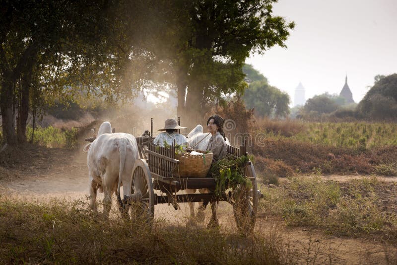 Myanmar - Bagan editorial stock image. Image of wagon - 85893829