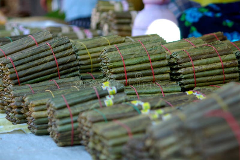 Myanmar cigars stock image. Image of myanmar, unhealthy - 1785569
