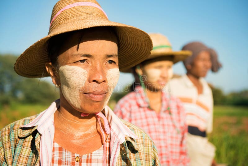 Myanmar Farmer Standing in Row Stock Photo - Image of countryside ...