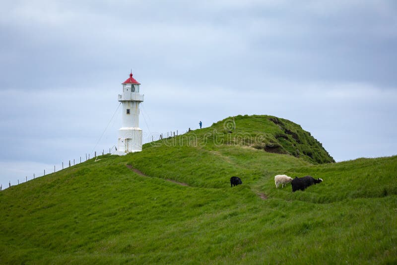 Mykines Lighthouse and Cliffs on Faroe Islands. Hiking Highlight Stock ...