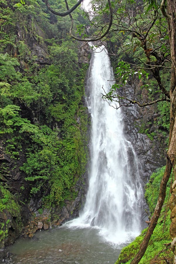 Mynapi Waterfall in Goa stock image. Image of rock, freshness - 77694455