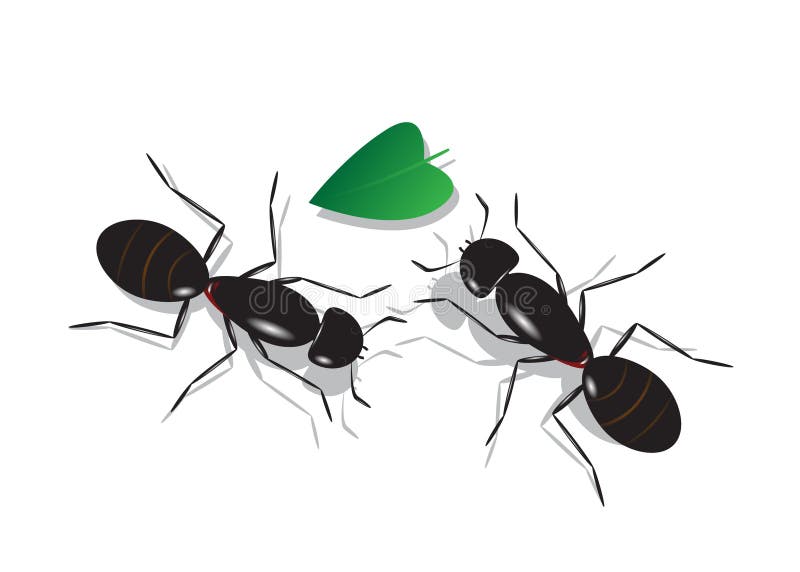 Myra. vektor illustrationer. Illustration av upptäckt - 38555904