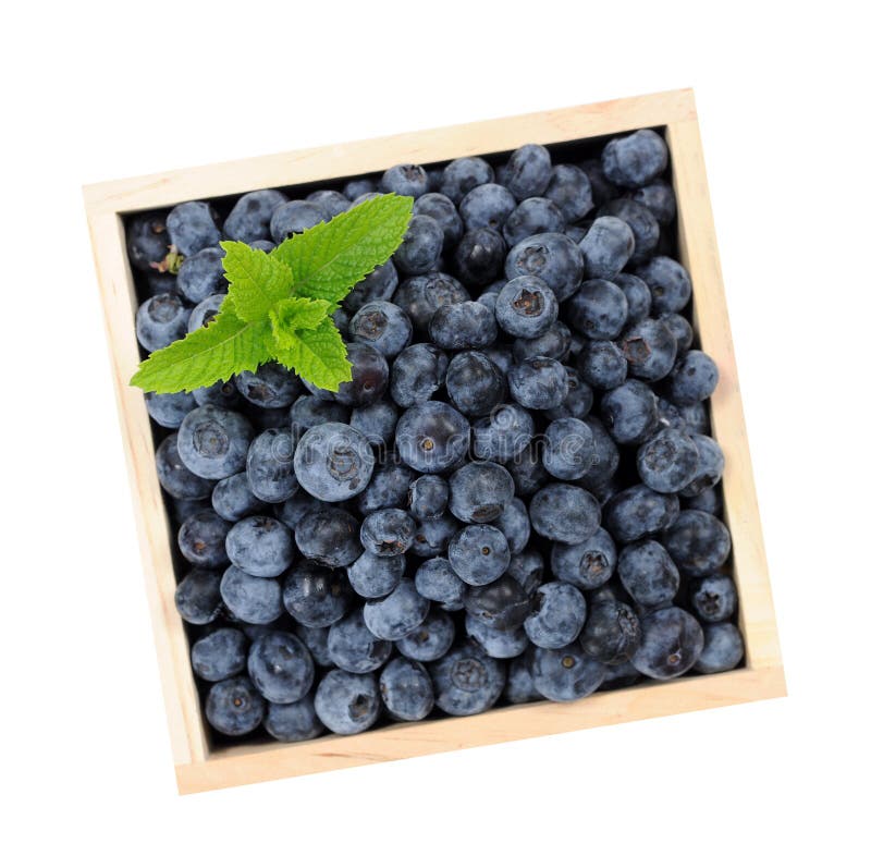 Myrtille image stock. Image du isolement, frais, savoureux - 34309597