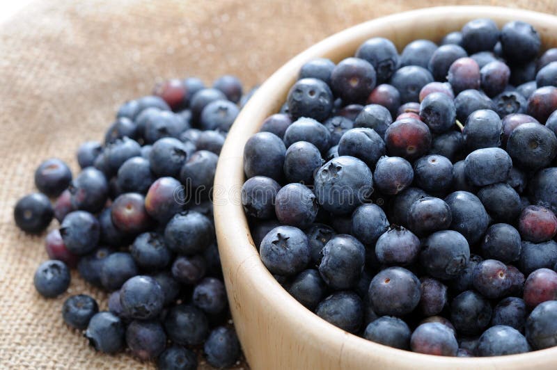 Myrtille image stock. Image du isolement, frais, savoureux - 34309597