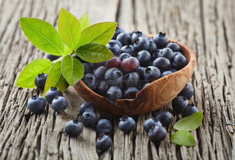 Myrtille photo stock. Image du macro, nature, mûr, doux - 16280586