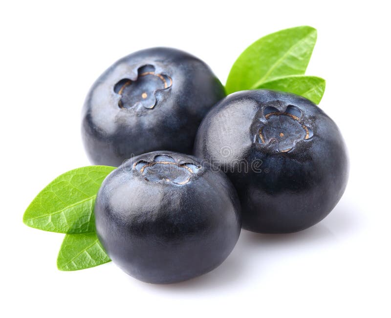 Myrtille photo stock. Image du vitamine, nature, dessert - 16280586