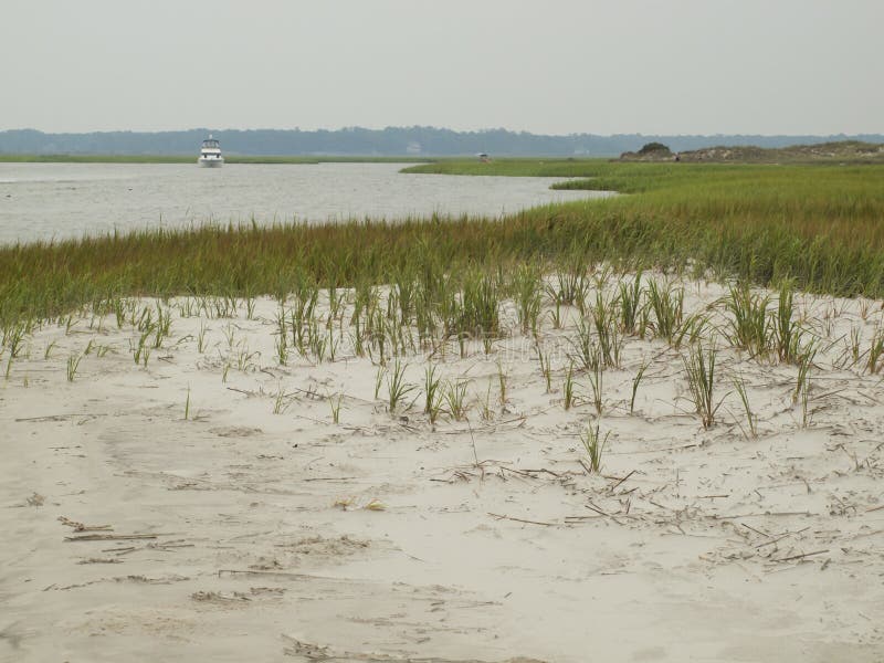 Myrtle Beach stock image. Image of littoral, swamp, ecosystem - 26200511