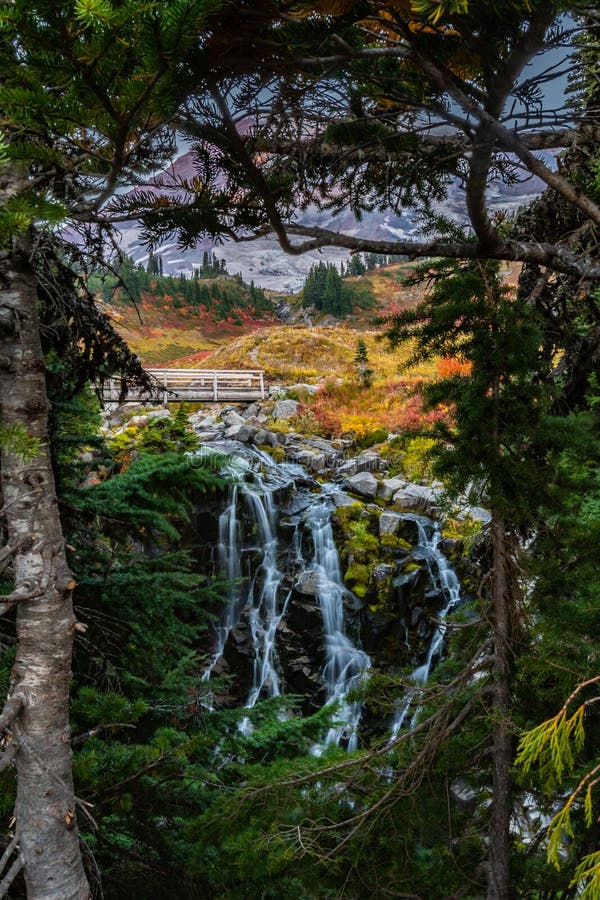 Myrtle Falls Tumbles Over Cliff Below Bridge Stock Image - Image of ...
