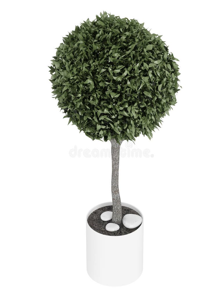 Topiary Stock Illustrations – 7,077 Topiary Stock Illustrations ...