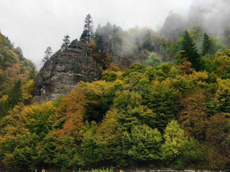 Myst stock image. Image of myst, valley, forrest, mures - 45529425