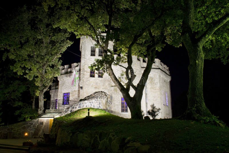 Mysterious Ancient Castle in the Deep Dark Forest Stock Photo - Image ...