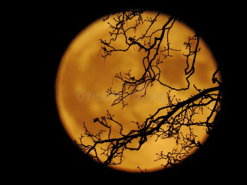 Mysterious beautifull Moon stock image. Image of mysterious - 253200543