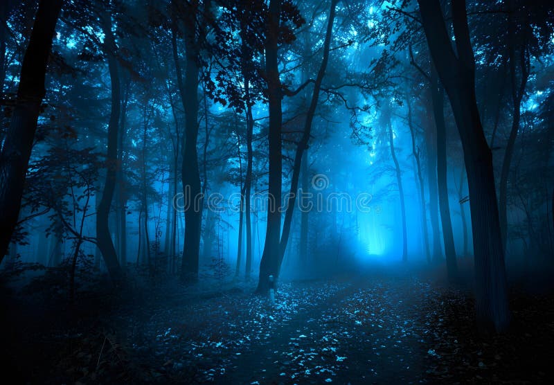 Mysterious Blue Light Forest Path Stock Illustration - Illustration of ...