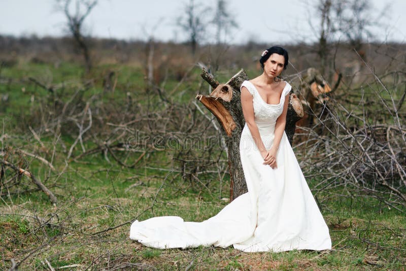 The Mysterious Bride Near the Cut Tree Stock Photo - Image of fashion ...