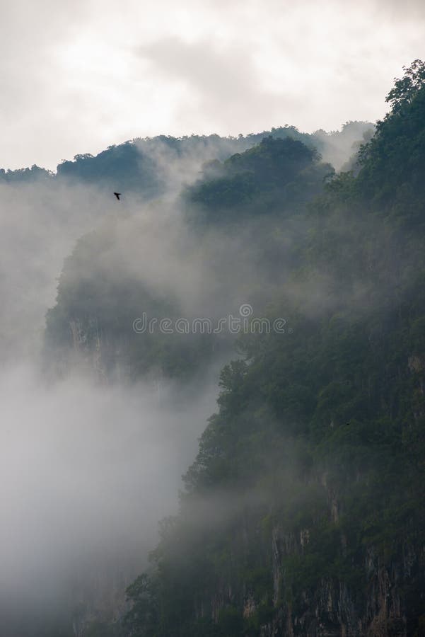 Mysterious Fog in the Mountains Stock Image - Image of cloud, foggy ...